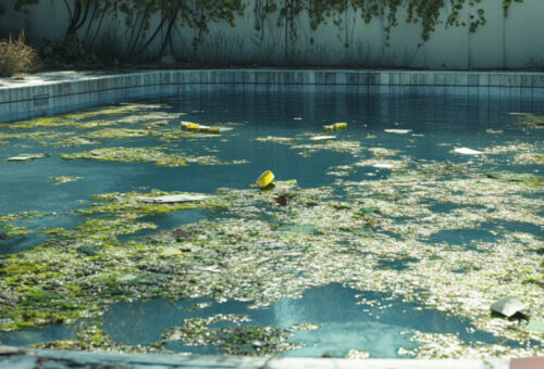 DIY vs. Pro Sand Filter Installation: A Step-by-Step Guide